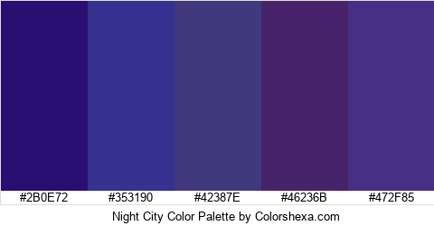 Night City Color Palette #2B0E72 #353190 #42387E #46236B #472F85 Hex