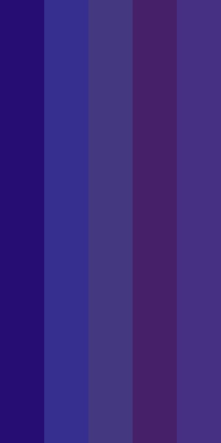 Night City Color Palette #2B0E72 #353190 #42387E #46236B #472F85 Hex
